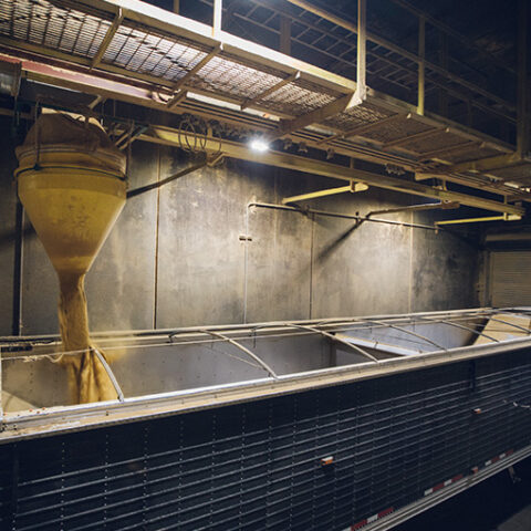 Distiller’s Grain - Didion Inc Didion's Distillers Grain