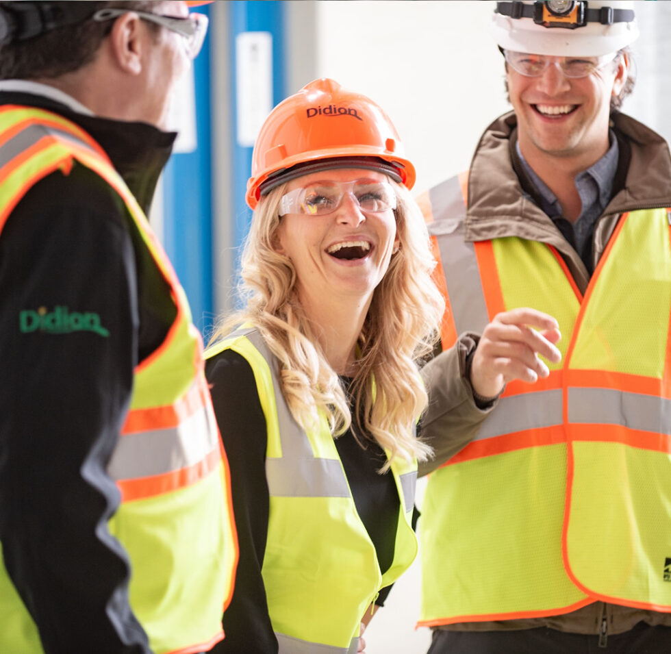 Didion Foundation - Didion Inc Didion Foundation