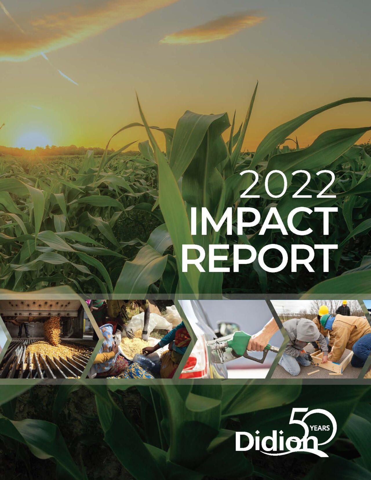 Impact Report - Didion Inc